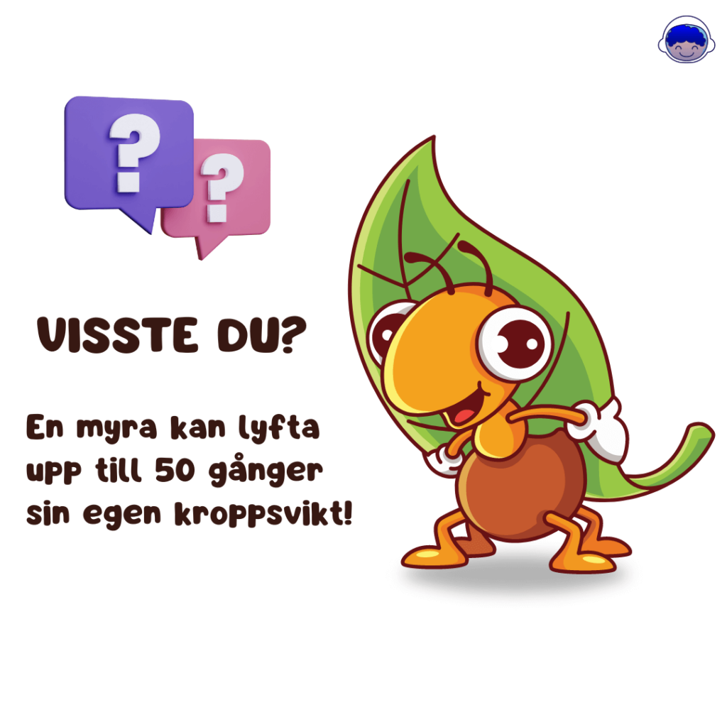 Fakta om myror för små barn